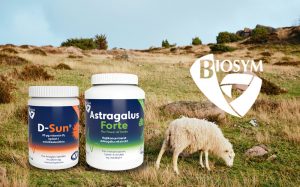 Verman - Edistämme jokapäiväistä terveyttä ja hyvinvointia